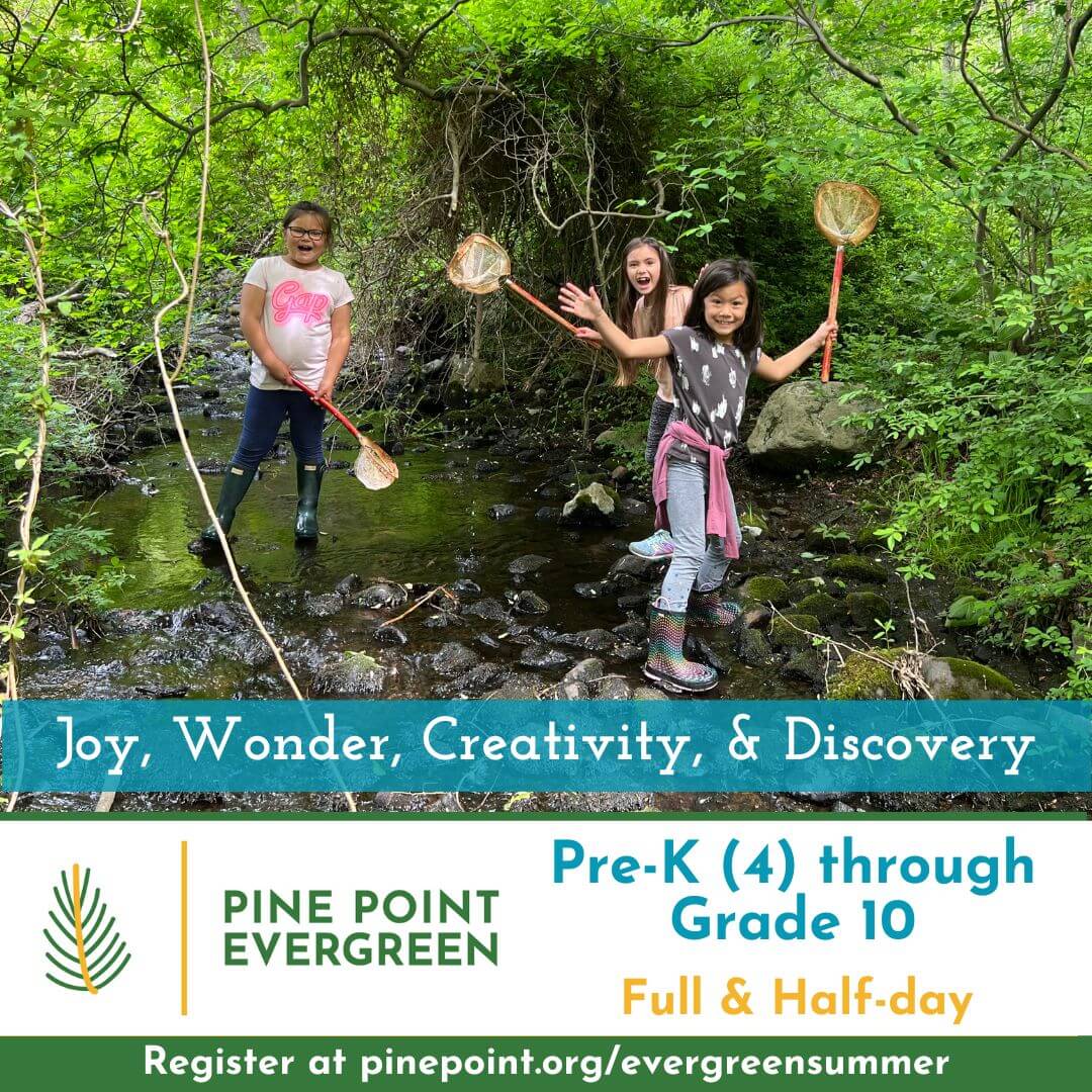 2025 Summer Camp Directory - The Greater Mystic Chamber of Commerce